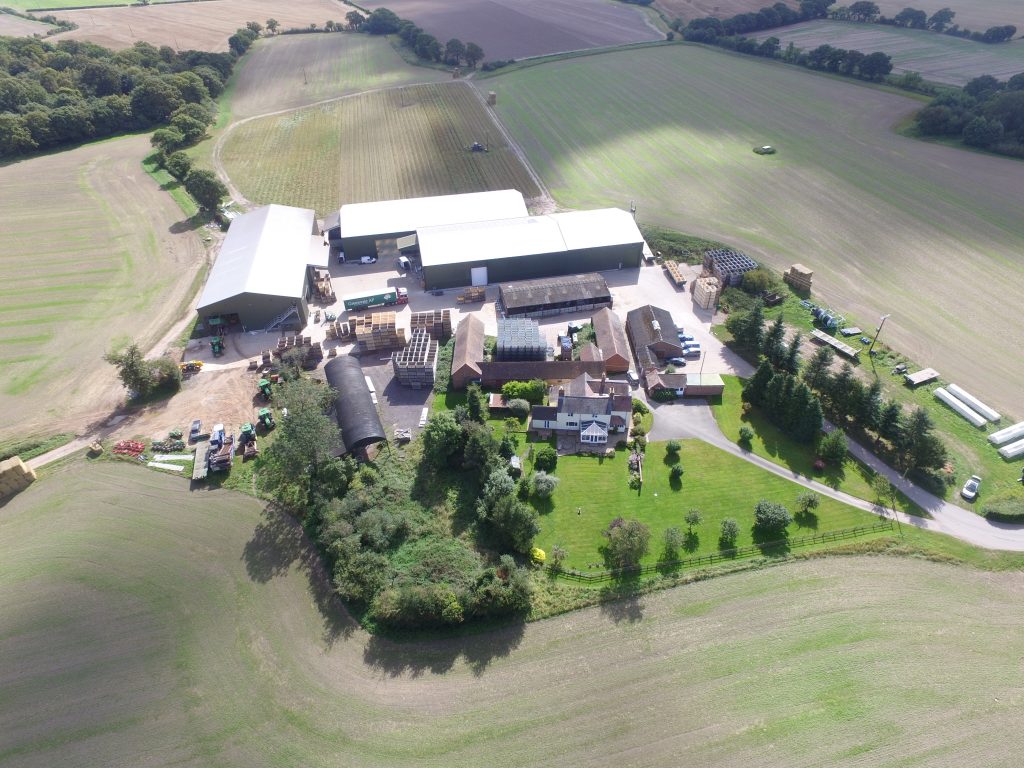 Home Farm 2019 | Taylor Organic Farms